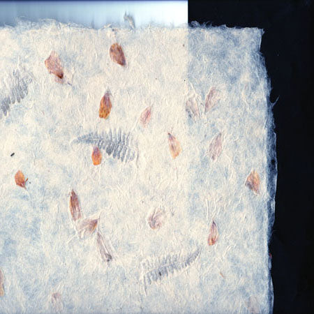 Lokta with Mini Fern with Marigold Petals NP-L/F/M – Paper Connection